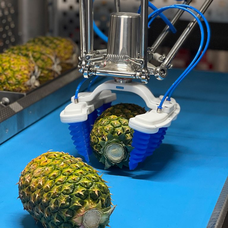 Robotics – Projx Services